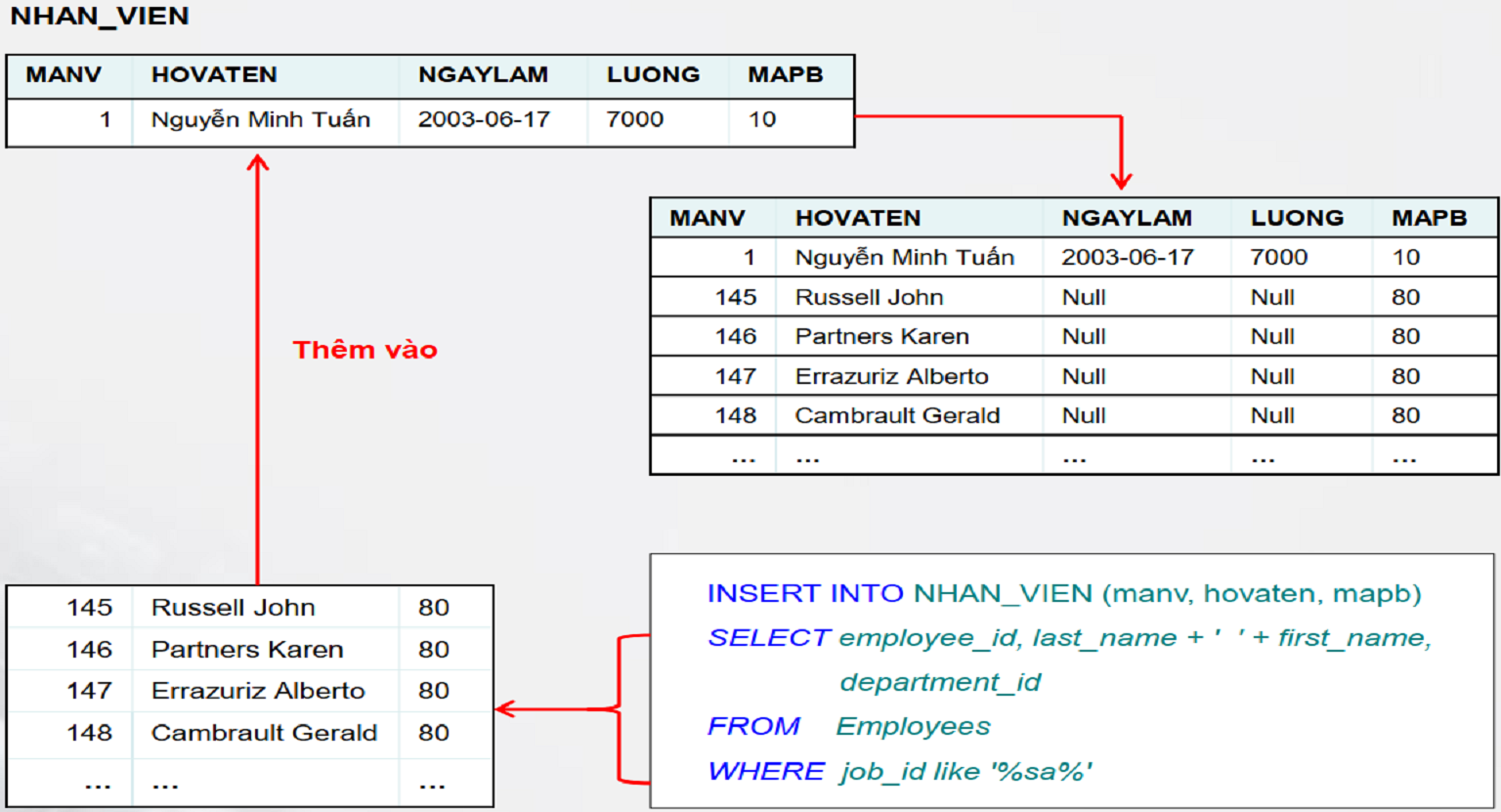 INSERT - Lệnh thêm dữ liệu